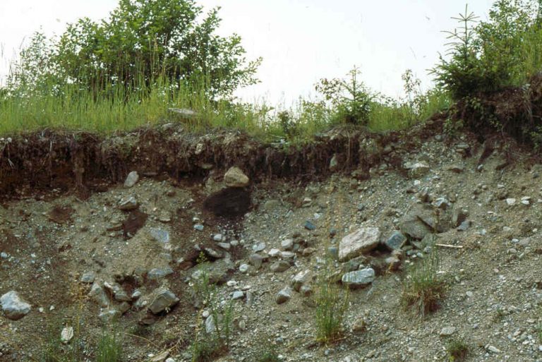 The common sediment types of the glacial s.l. environment | RFASE